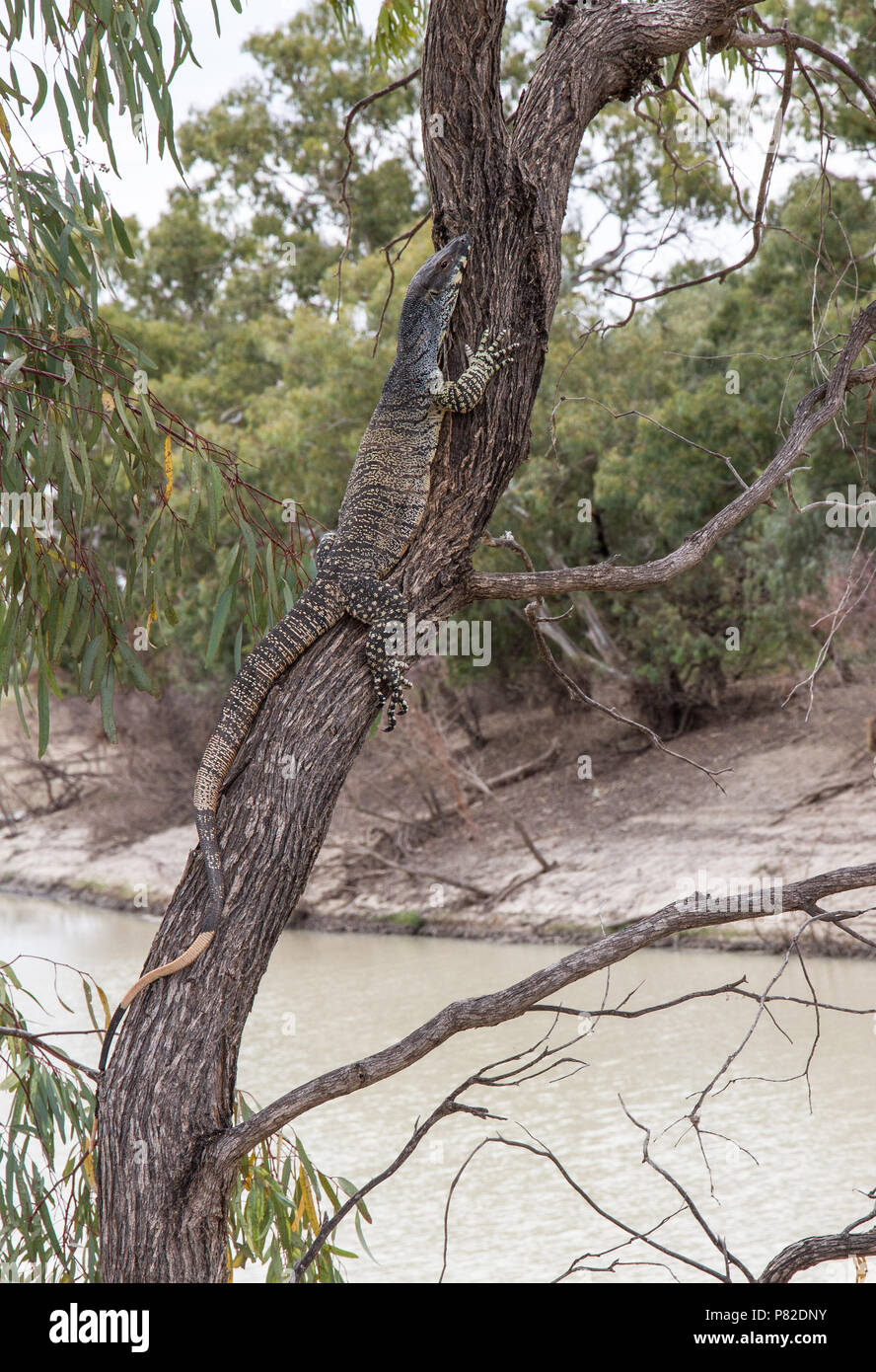 Kinchega National Park High Resolution Stock Photography and Images - Alamy