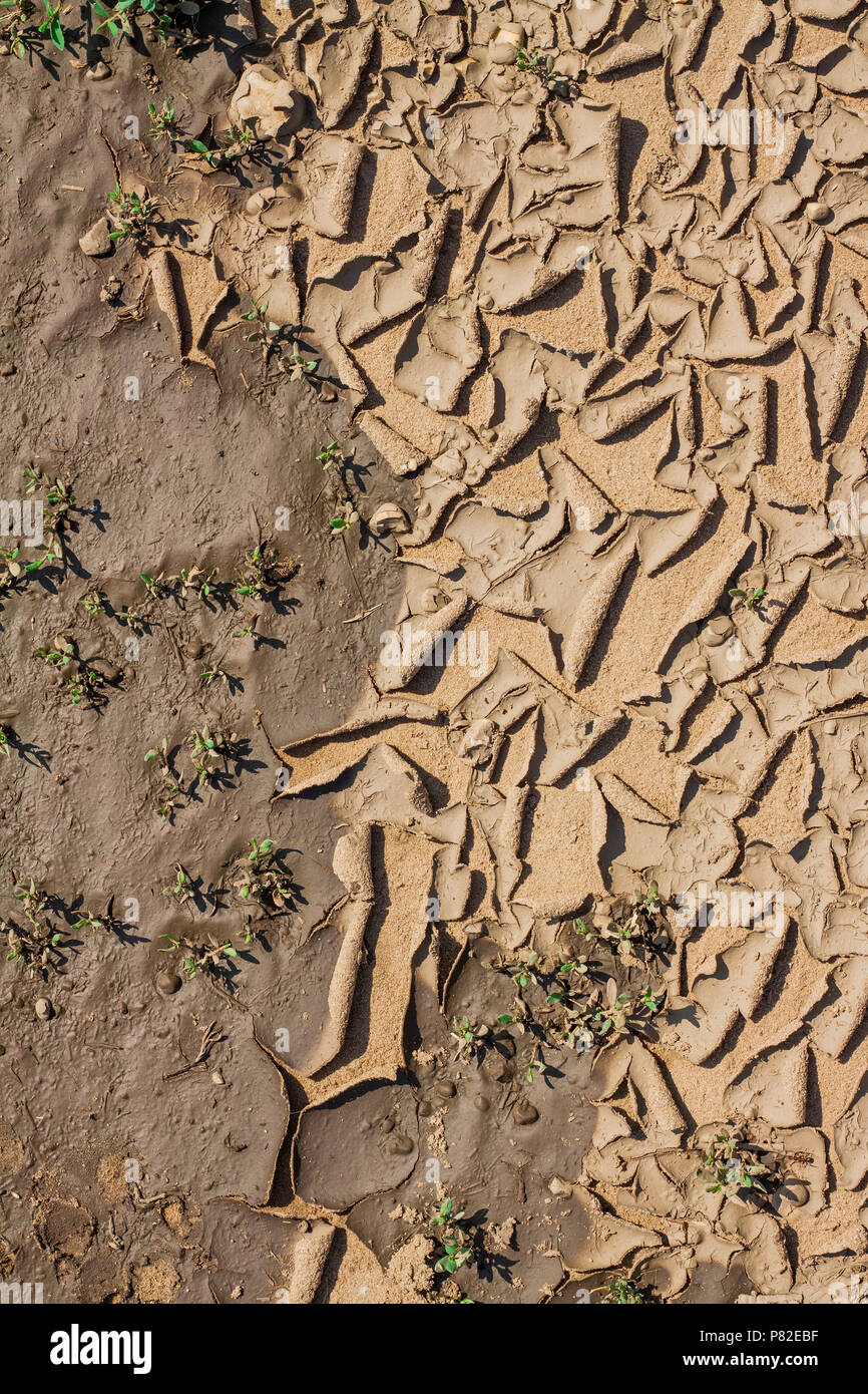 Silty soil hi-res stock photography and images - Alamy