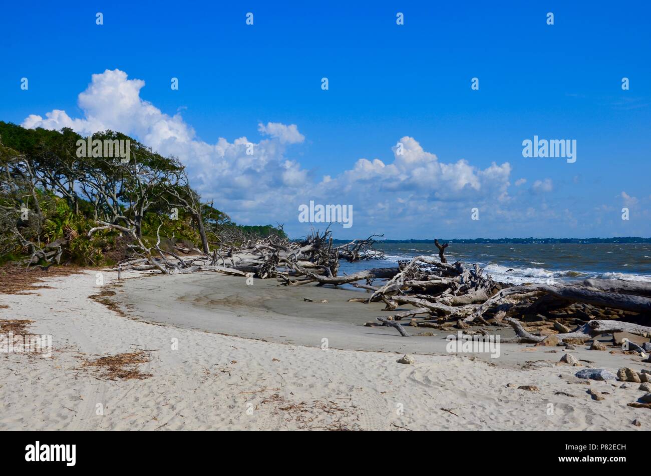 Georgia jekyll island historic district hi-res stock photography and ...