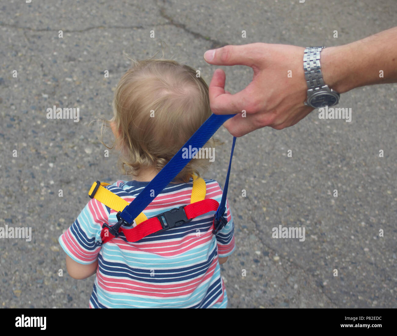 Krasnodar, Russia - July 04, 2014: A child restraint is used for ...