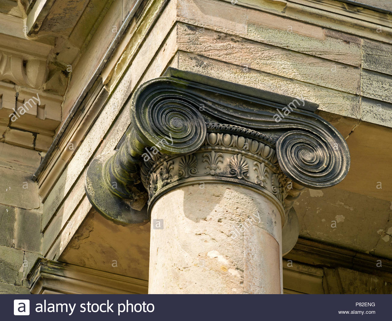 Closeup Column Capital High Resolution Stock Photography and Images - Alamy