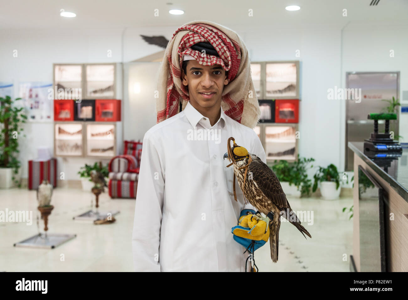 Young man showing his falcon in Falcon Hospital, Doha, Katar Stock ...