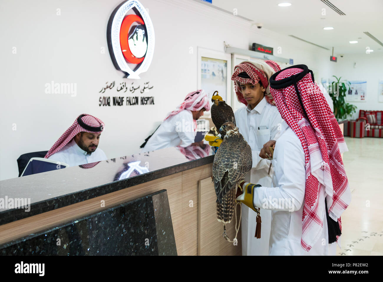 Falcon hospital doha hi-res stock photography and images - Alamy