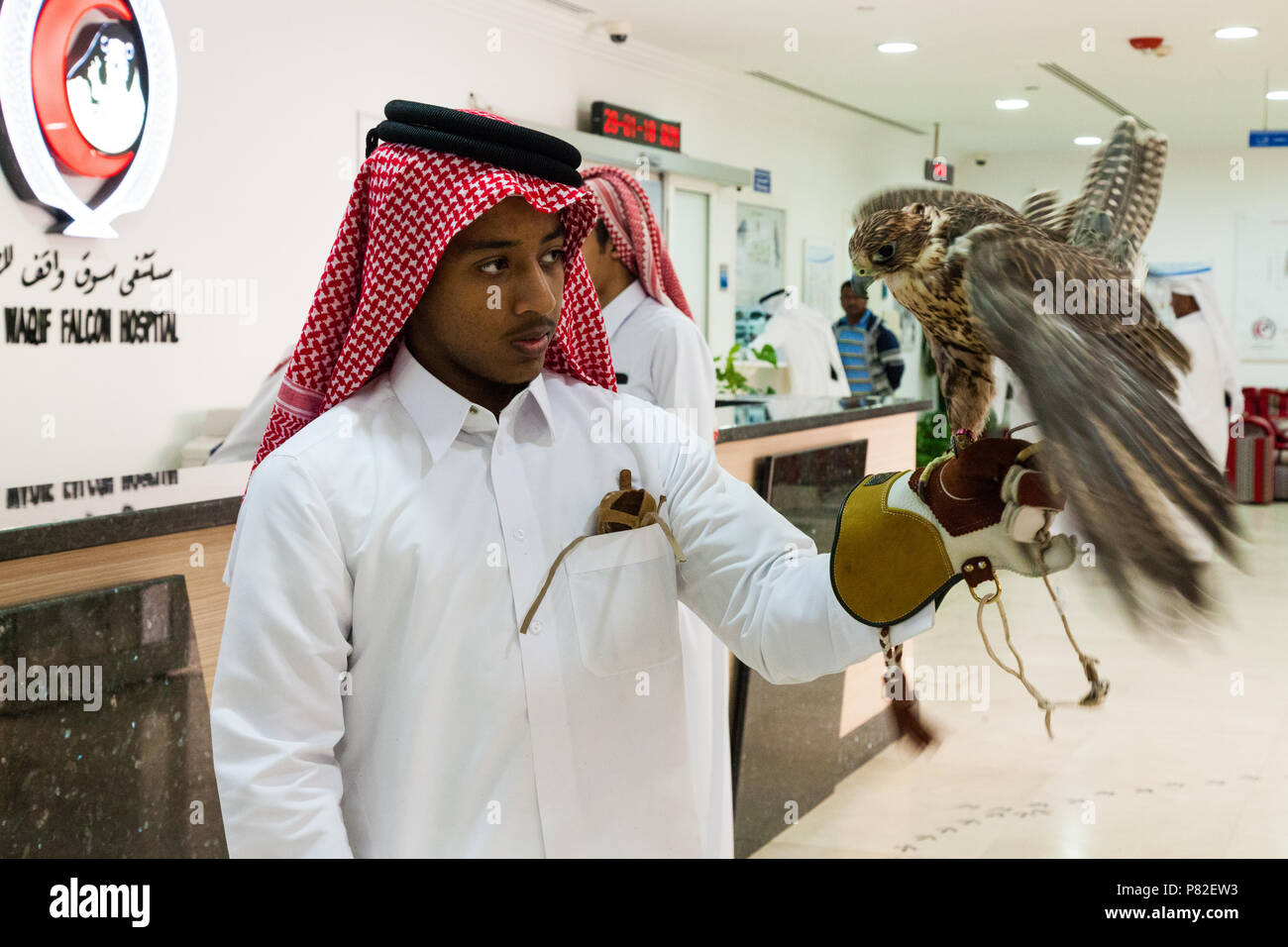 Falcon qatar hi-res stock photography and images - Alamy