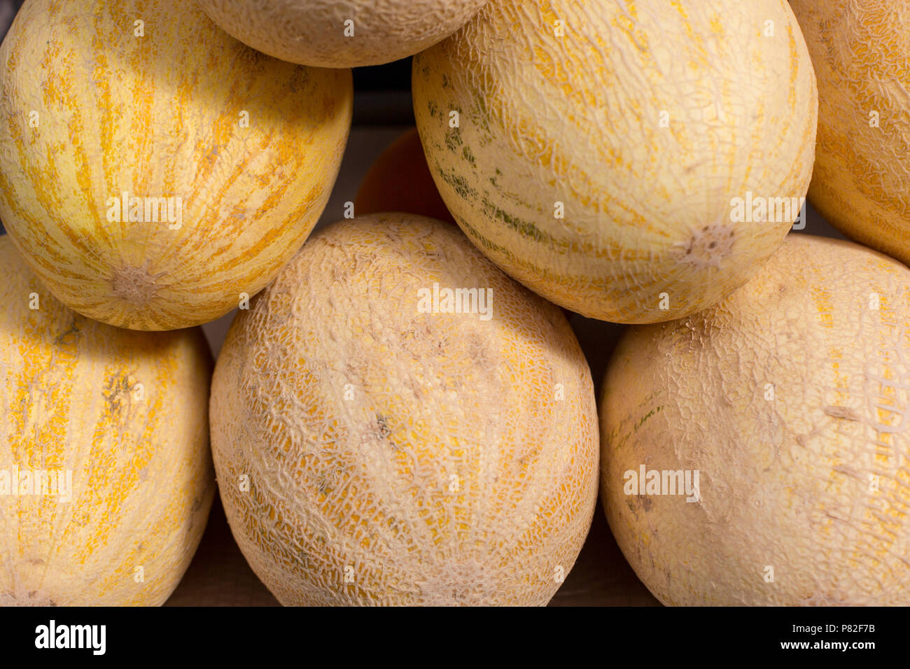 fresh yellow melon abstract fruit colorful pattern texture background ...