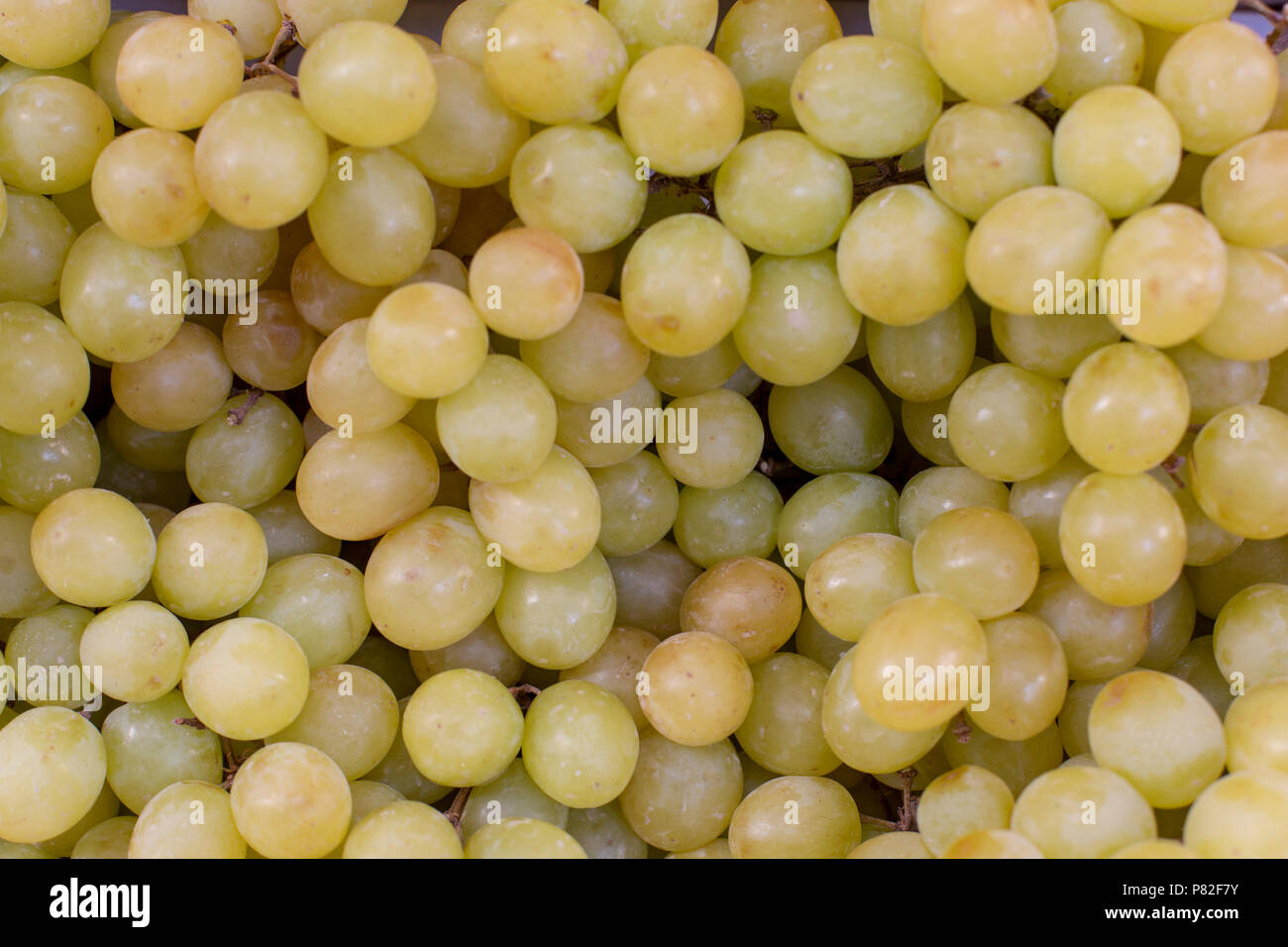 fresh green grape abstract fruit colorful pattern texture background ...