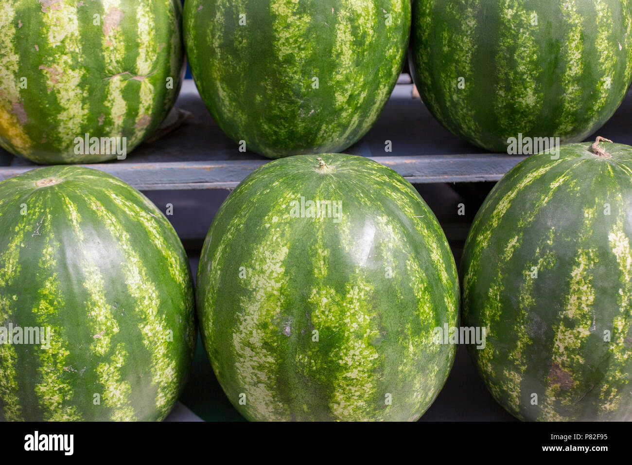 fresh abstract green watermelon fruit colorful pattern texture ...