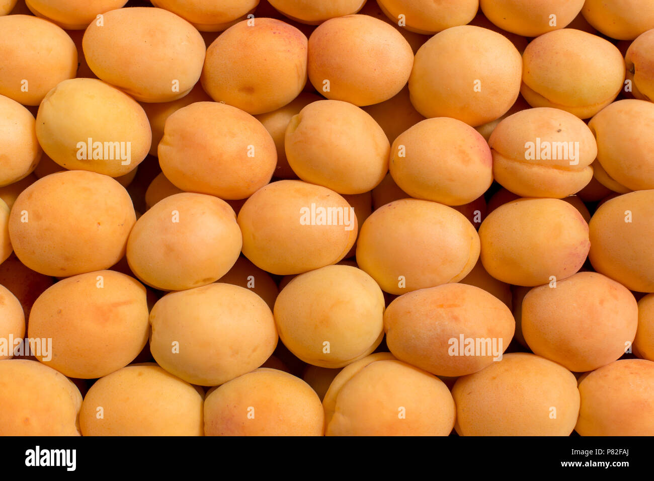 fresh apricot abstract fruit colorful pattern texture background Stock ...