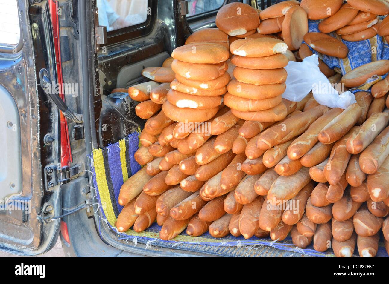Bread Palm High Resolution Stock Photography and Images - Alamy