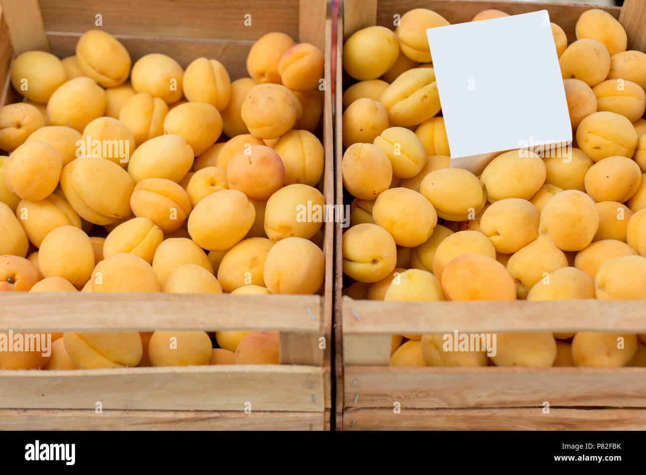 fresh apricot fruit colorful texture mock-up Stock Photo - Alamy