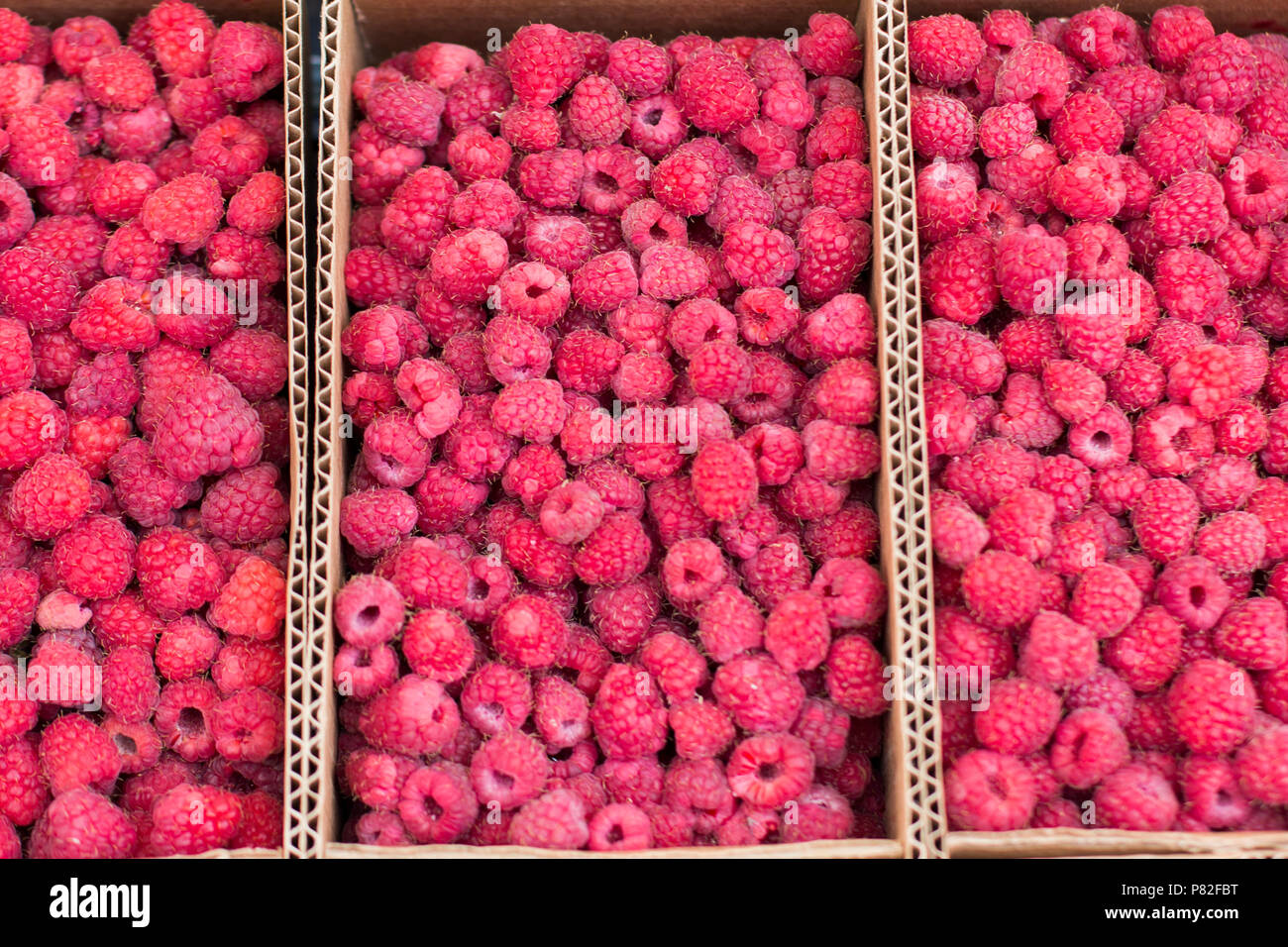 fresh red ripe raspberries in boxes abstract fruit colorful pattern ...