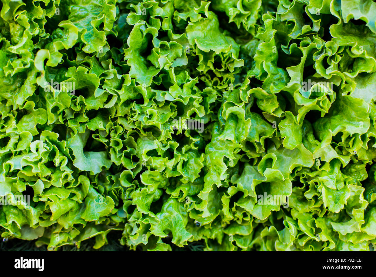 fresh green salad abstract fruit colorful pattern texture background ...