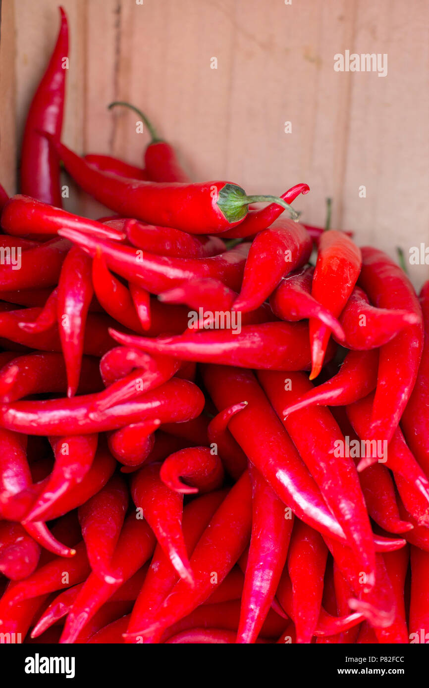 fresh red chilli abstract fruit colorful pattern texture background ...