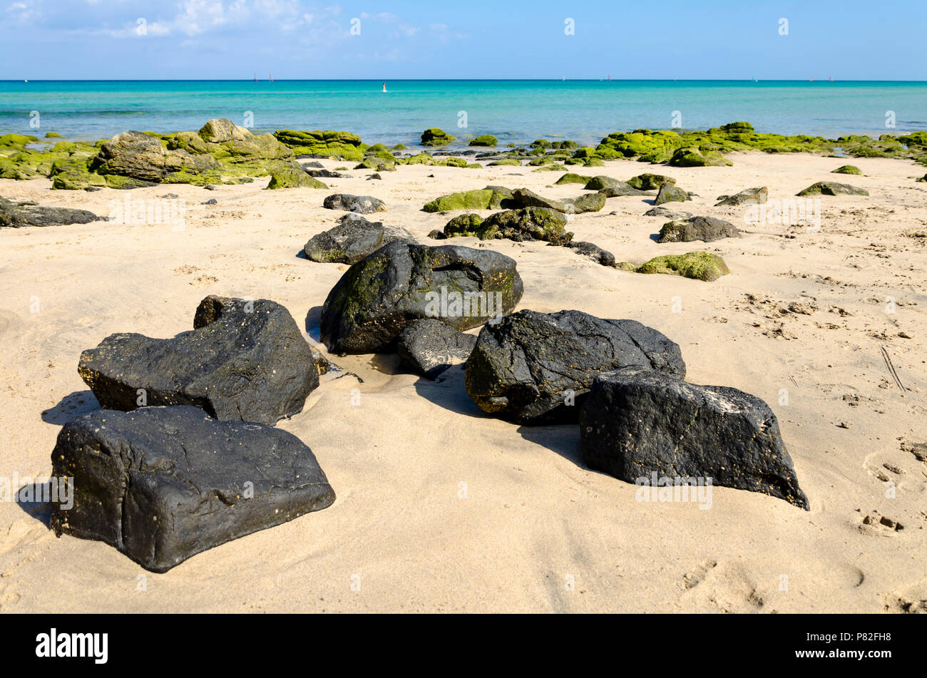 Black volcanic rocks and moss-covered stones on the white sandy beach ...