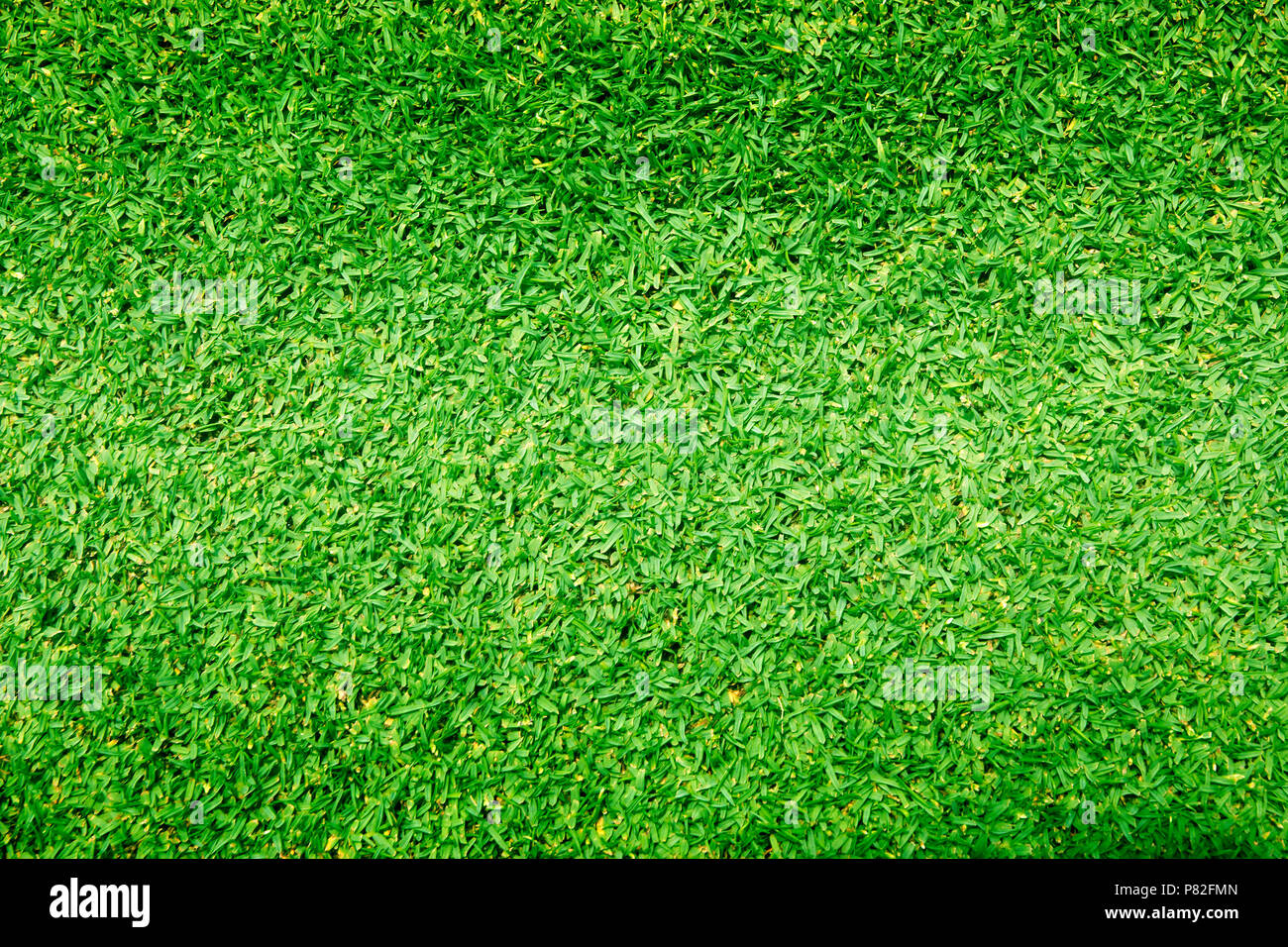 grass background Golf Courses green lawn pattern textured background ...