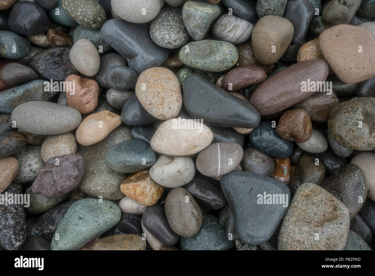 abstract pattern texture background pebble on beach Stock Photo - Alamy