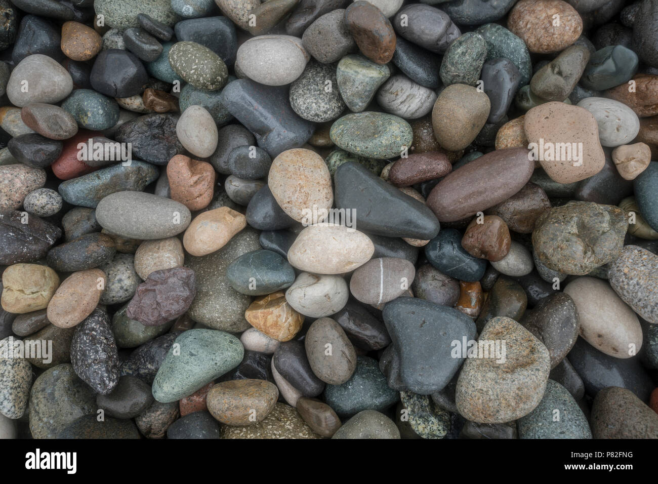 abstract pattern texture background pebble on beach Stock Photo - Alamy