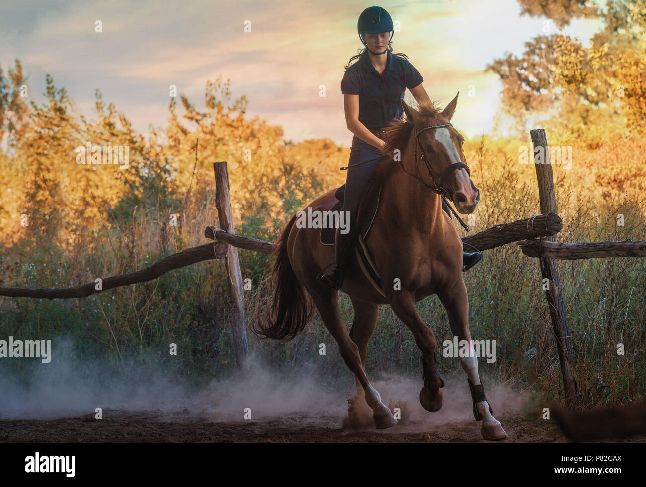 Young pretty girl - riding a horse with backlit leaves behind Stock ...