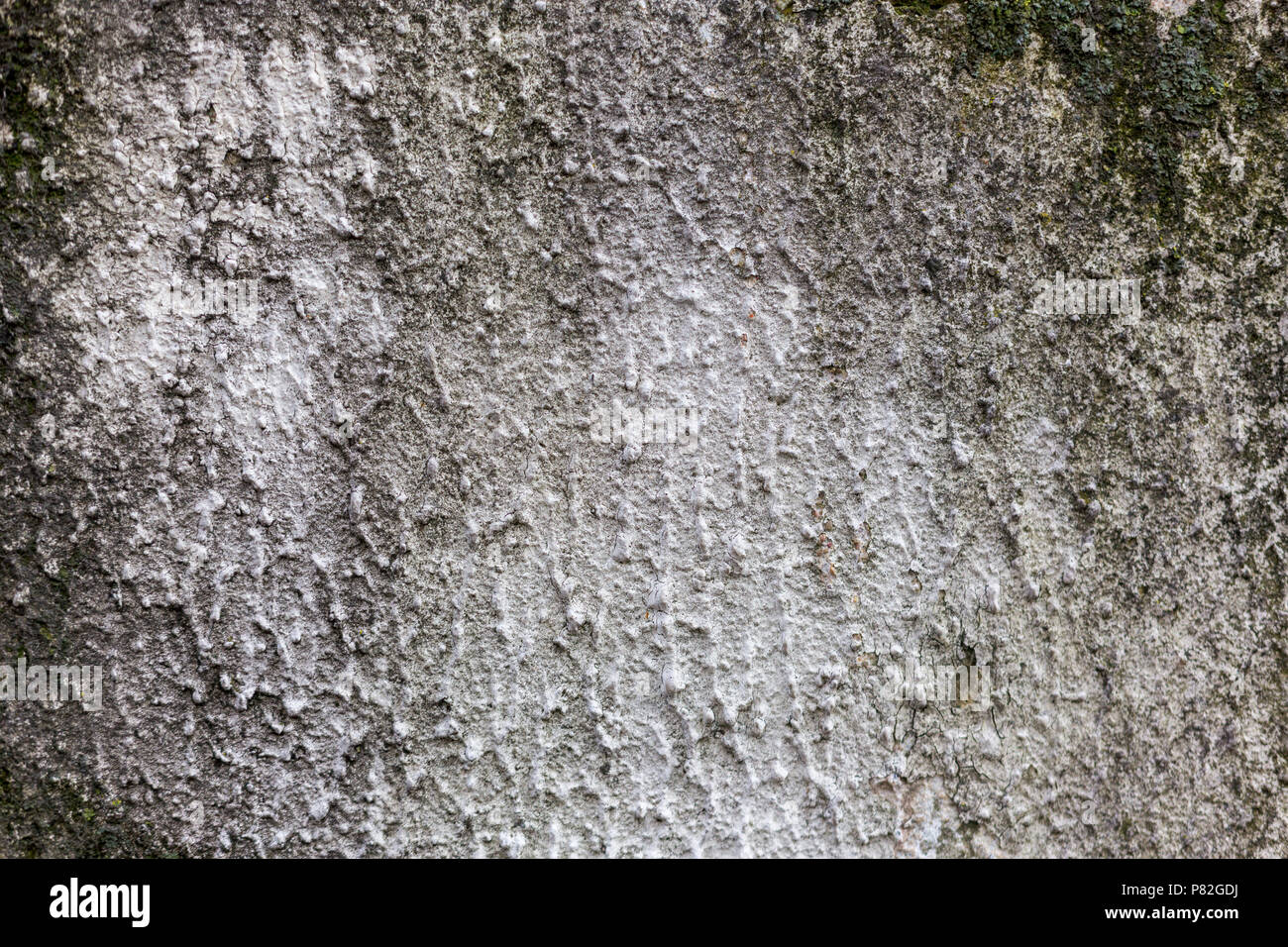 moldy rough surface pattern texture background Stock Photo - Alamy