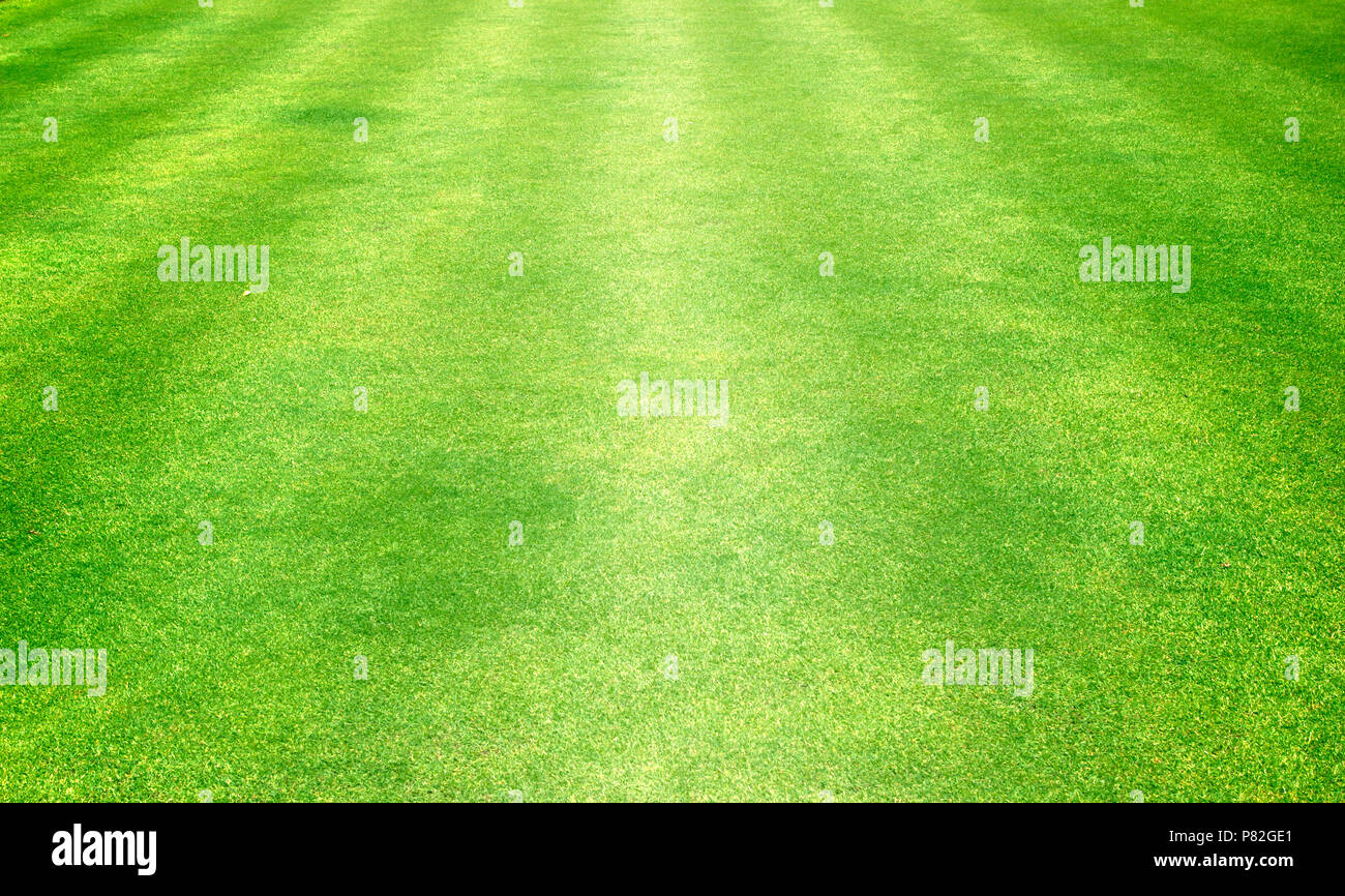 grass background Golf Courses green lawn pattern textured background ...