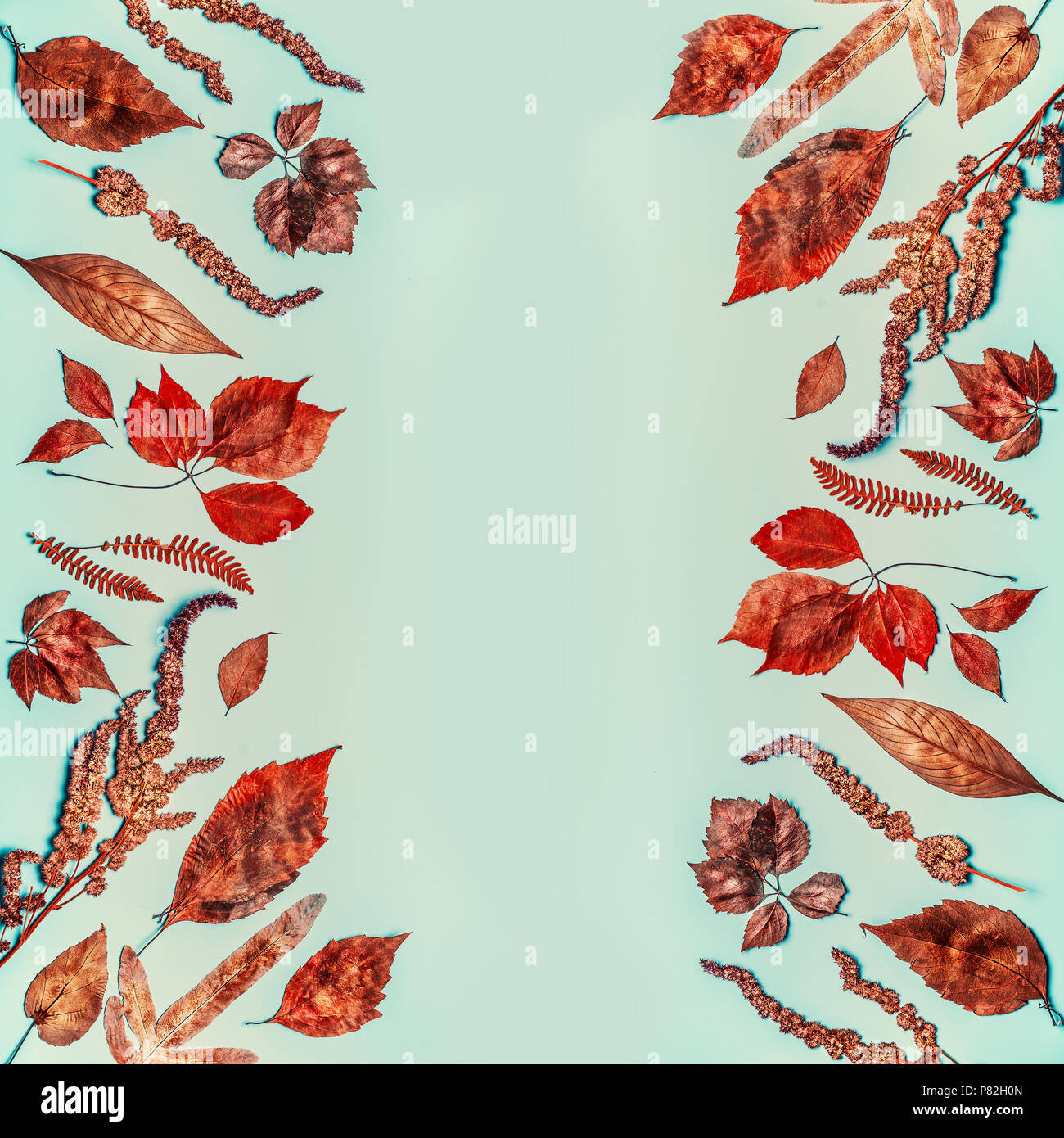Autumn background with various colorful fall leaves, top view, frame ...