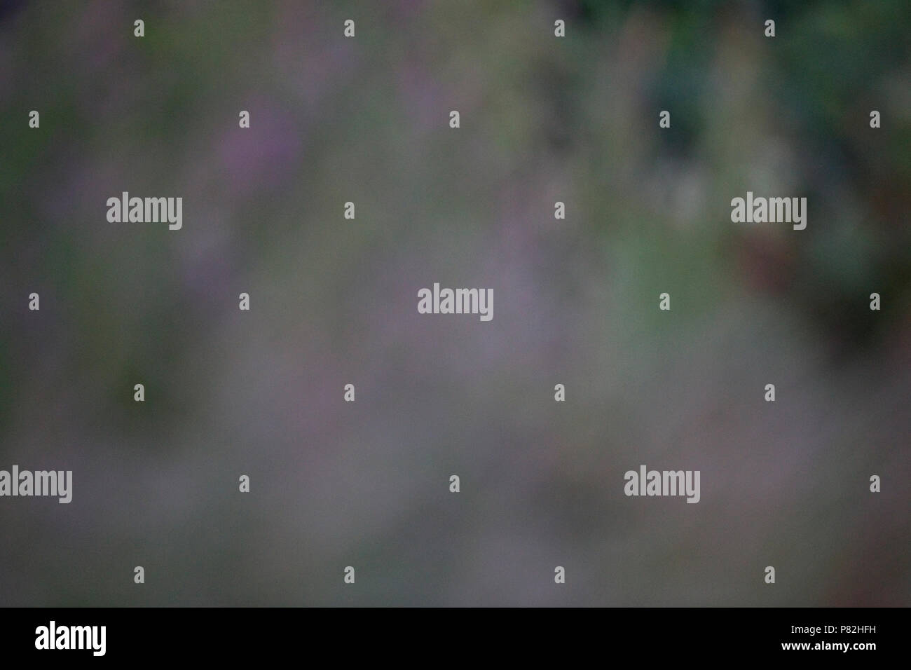 Natural background colours Stock Photo - Alamy