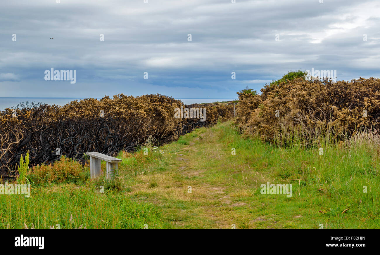 HOPEMAN MORAY SCOTLAND FOOTPATHS AND SEAT WITH EXTENSIVE AREA BURNT ...