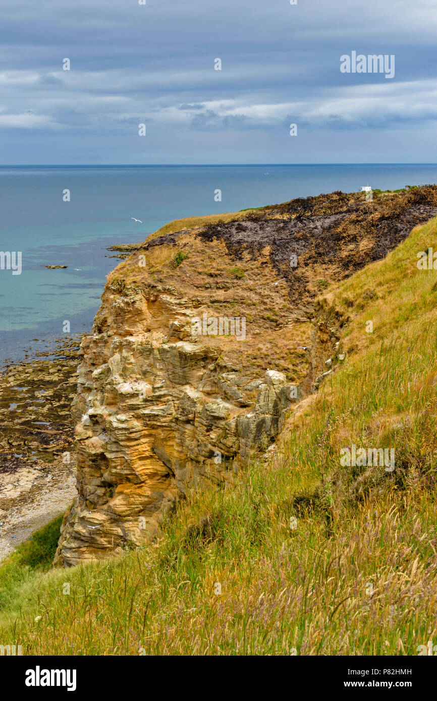 Moray coast trail hi-res stock photography and images - Alamy