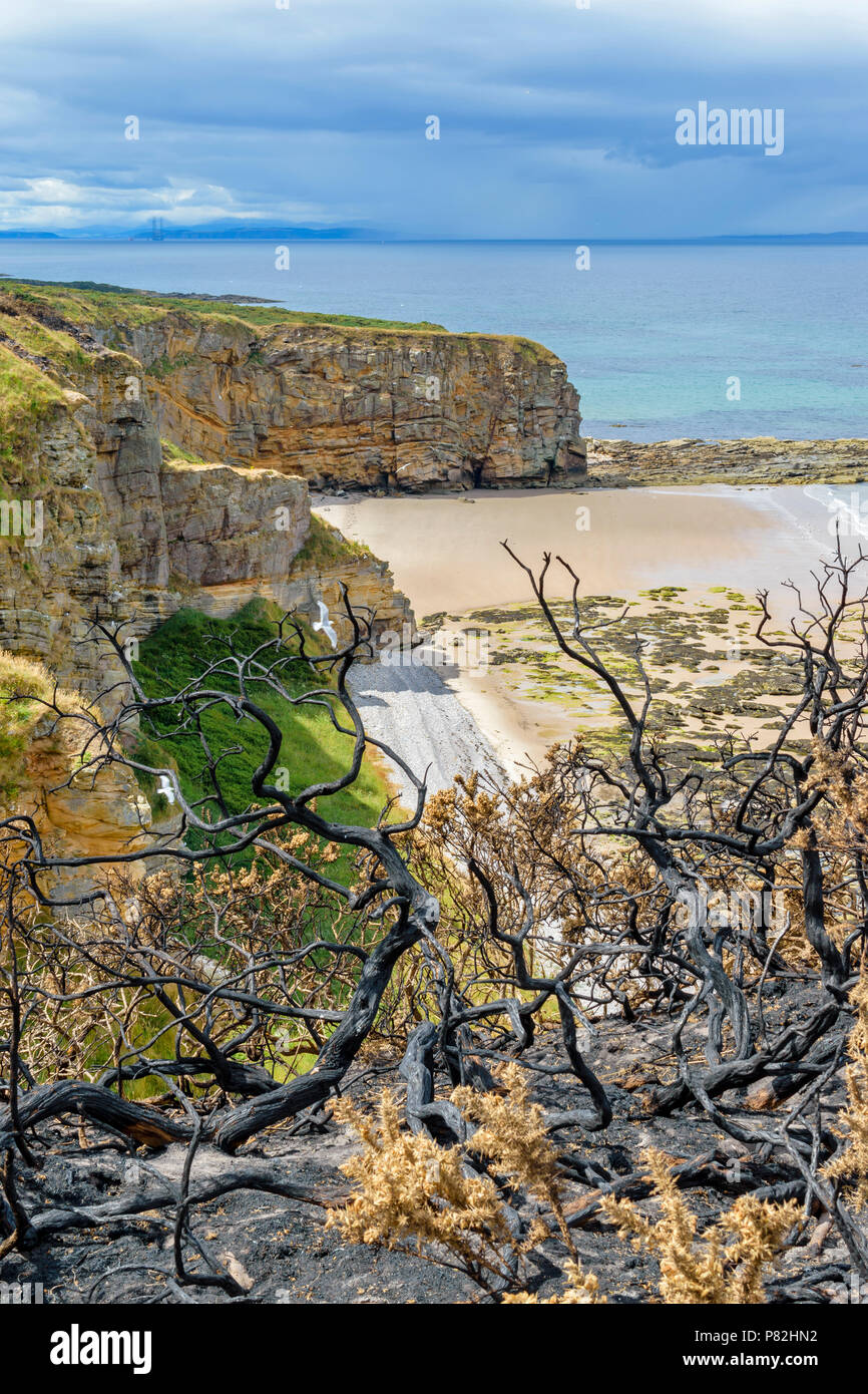 HOPEMAN MORAY SCOTLAND HEADLAND BEACH AND SEA SHOWING WILDFIRE DAMAGE ...