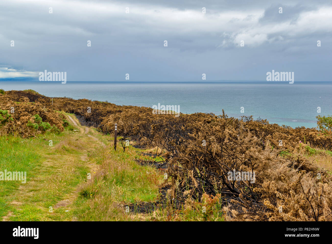 Wildfire damage hi-res stock photography and images - Alamy