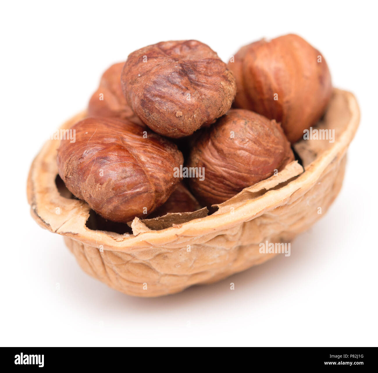 Hazelnuts in walnut shell isolated on white background Stock Photo - Alamy