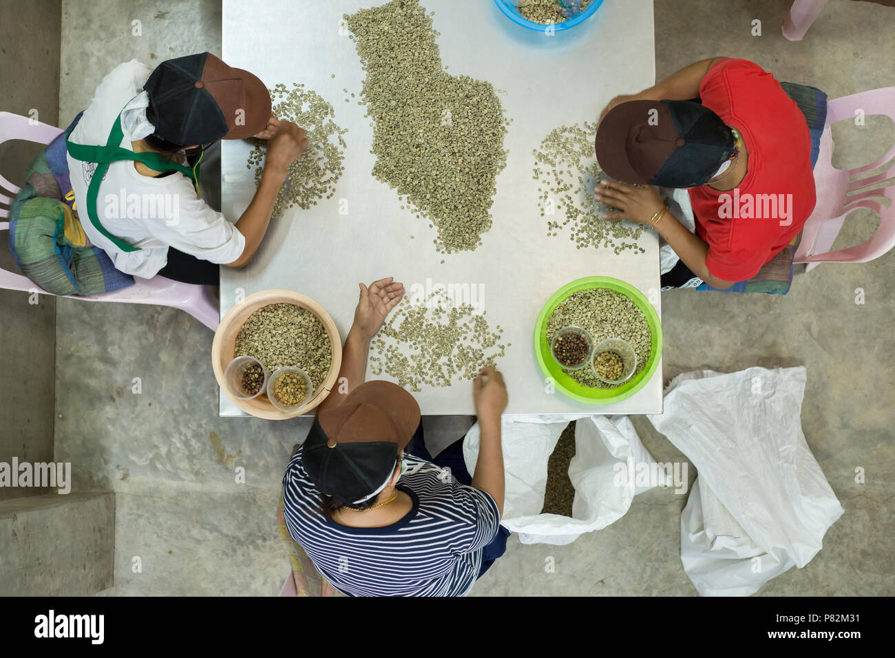Sorting raw coffee beans hi-res stock photography and images - Alamy