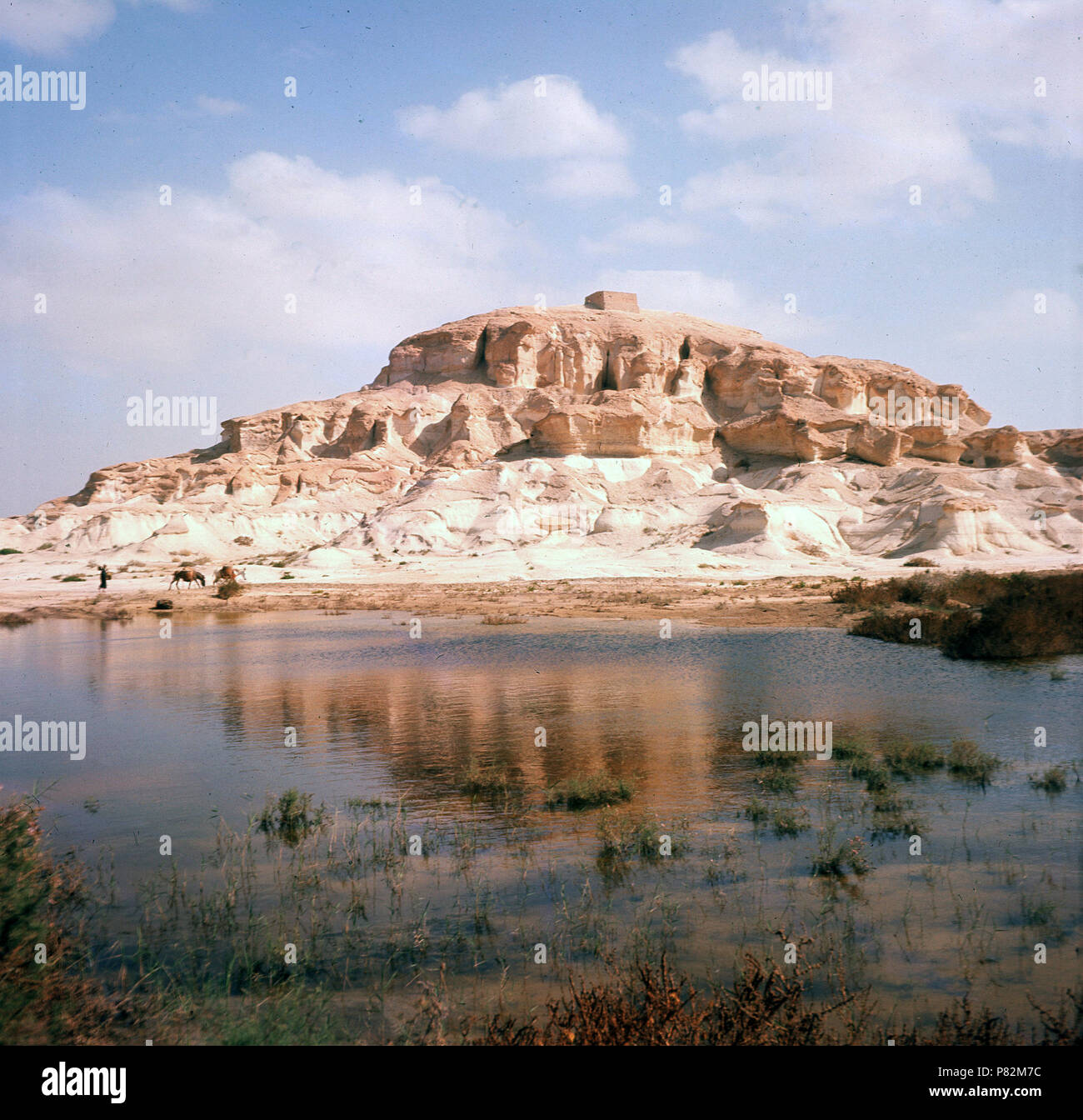 Al hassa oasis hi-res stock photography and images - Alamy
