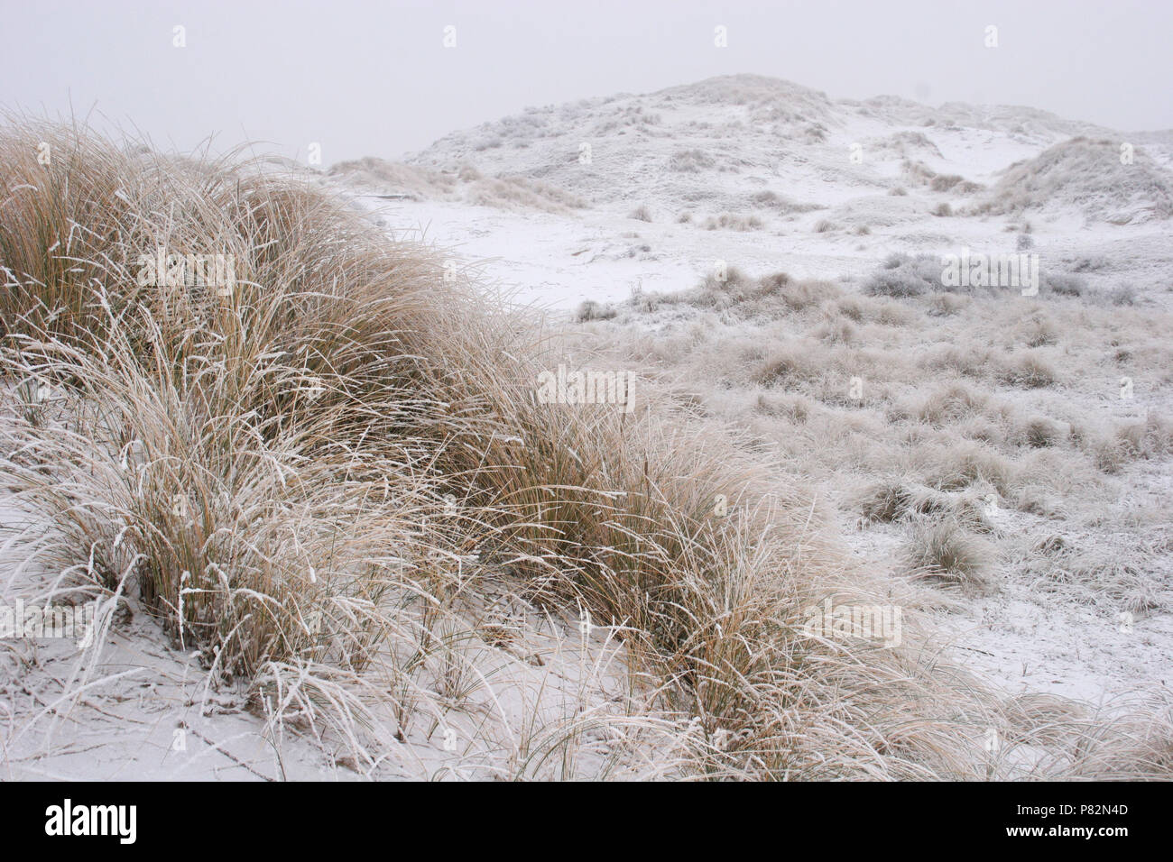 Duinlandschap hi-res stock photography and images - Alamy