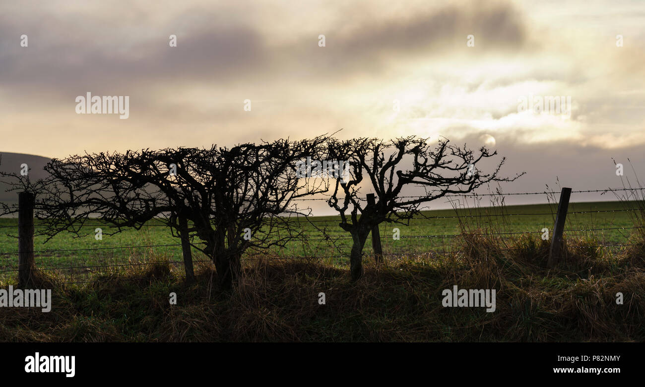 Lauderdale road hi-res stock photography and images - Alamy