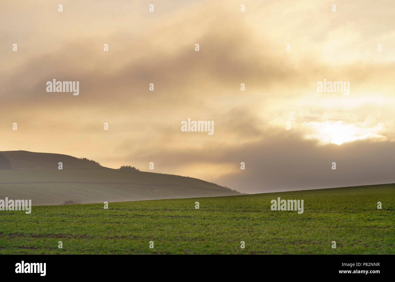 Lauderdale road hi-res stock photography and images - Alamy