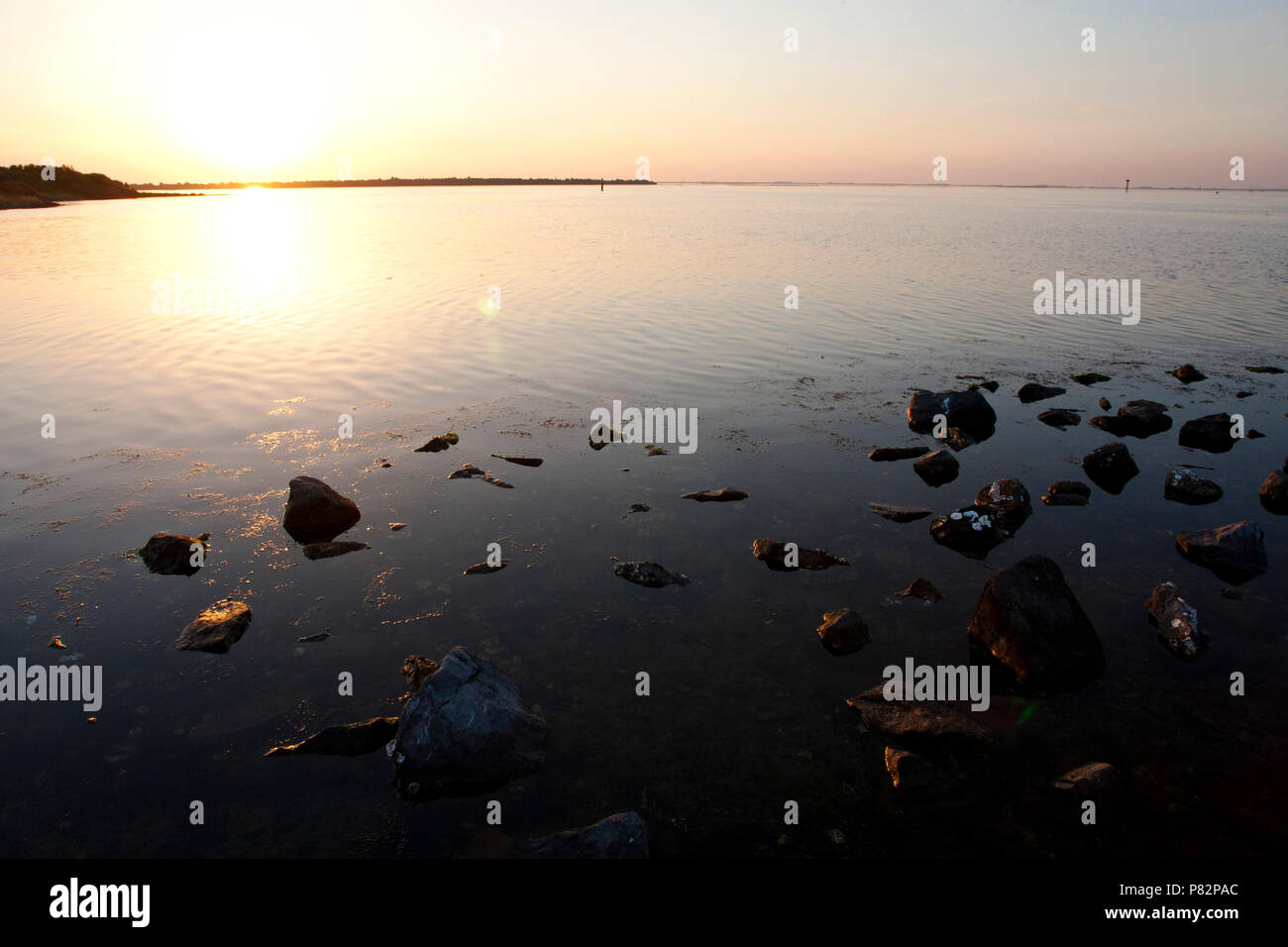 Grevelingen hi-res stock photography and images - Alamy