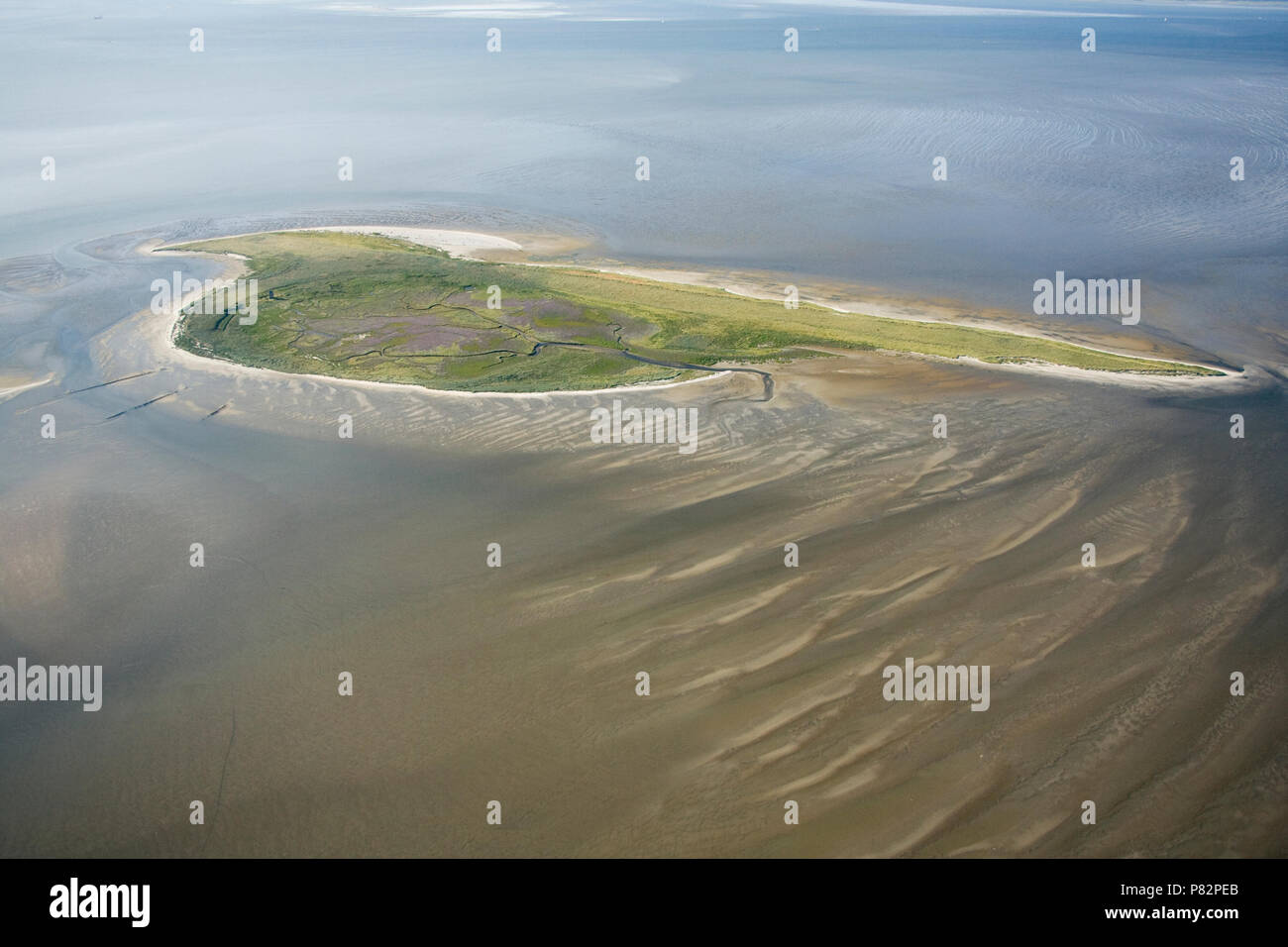 De griend hi-res stock photography and images - Alamy