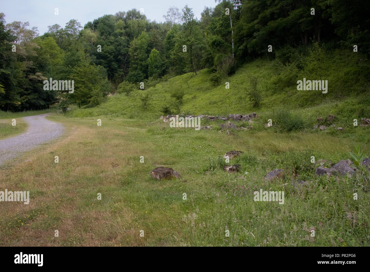 Rooth hi-res stock photography and images - Alamy