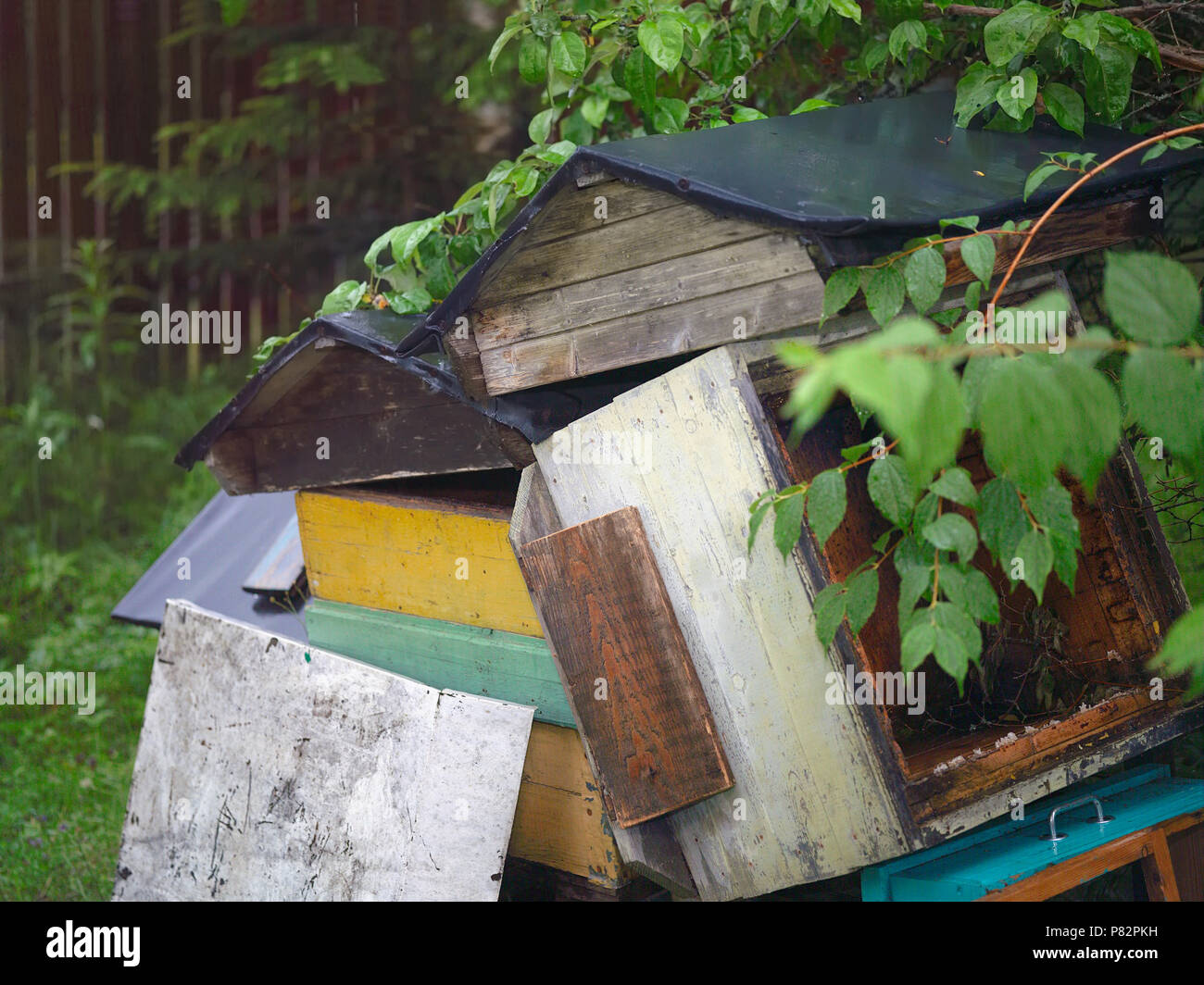 Beehives damaged hi-res stock photography and images - Alamy