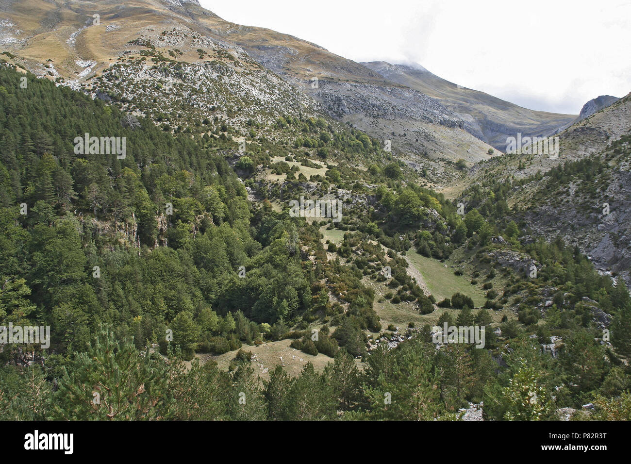Spaanse Pyreneen; Spanish Pyrenees Stock Photo - Alamy