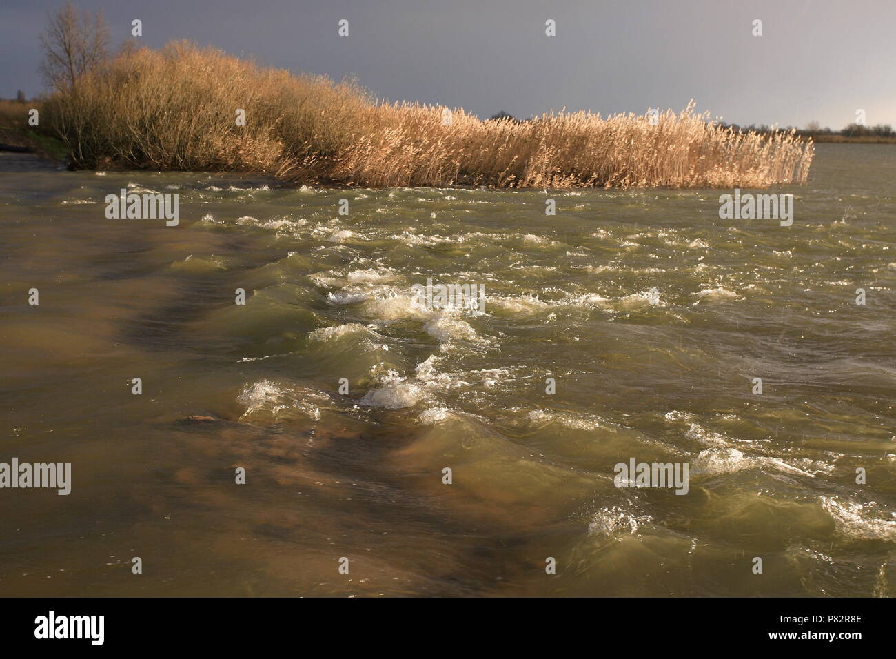 Hoogwater Stock Photos & Hoogwater Stock Images - Alamy