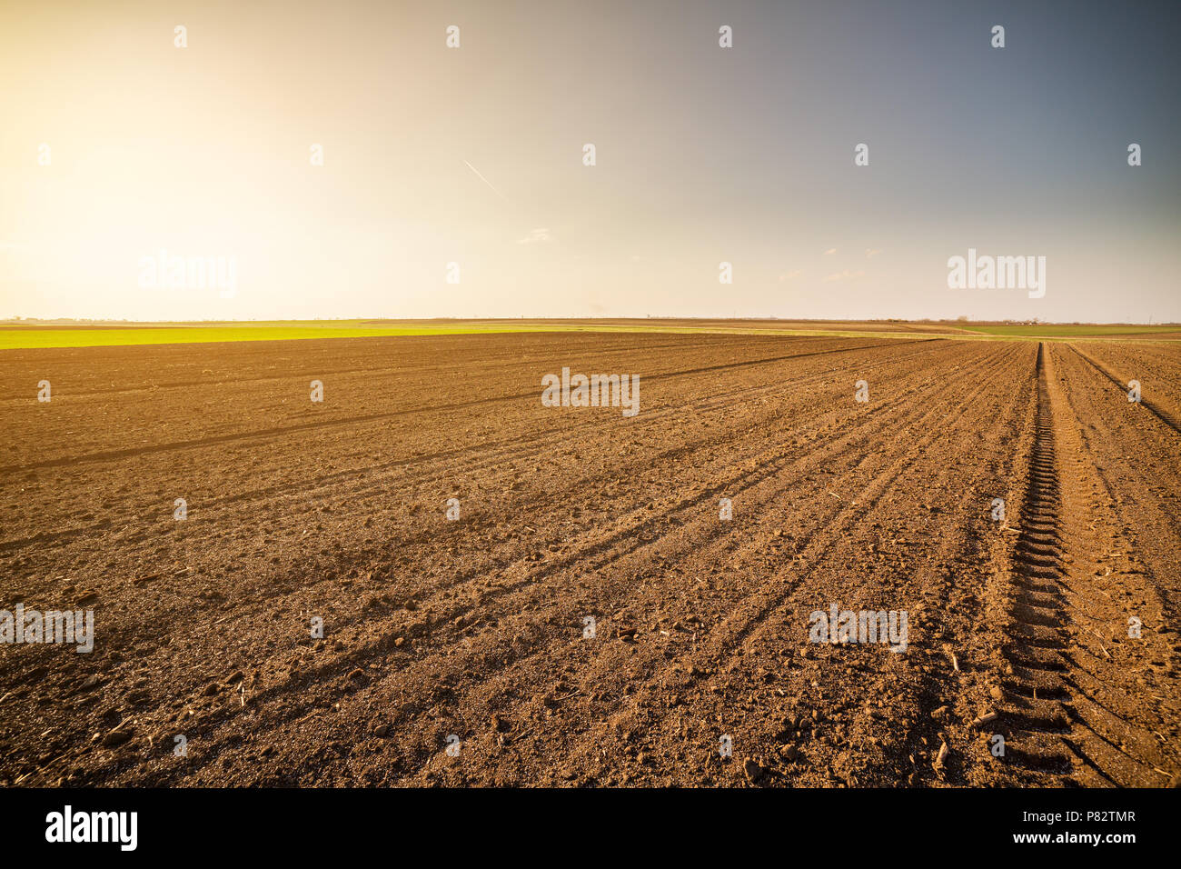 Agricultural landscape, arable crop field. Arable land is the land ...