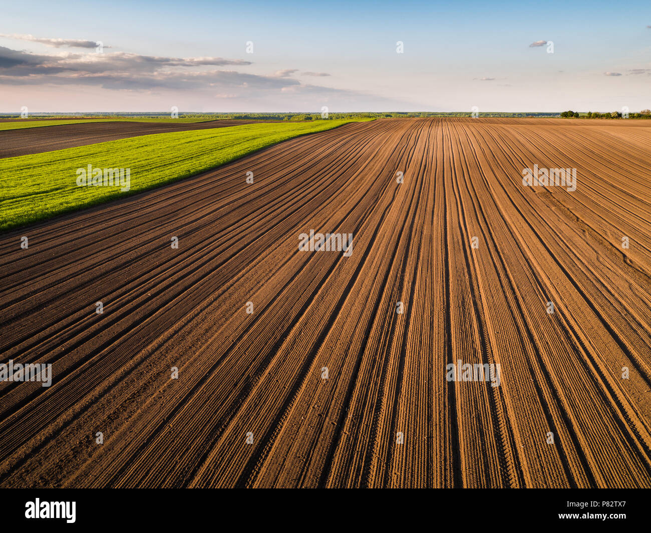 Agricultural landscape, arable crop field. Arable land is the land ...