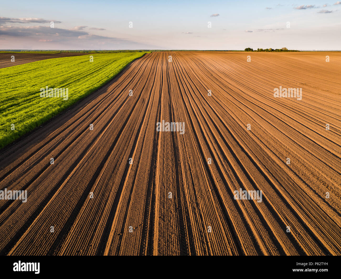 Agricultural landscape, arable crop field. Arable land is the land ...