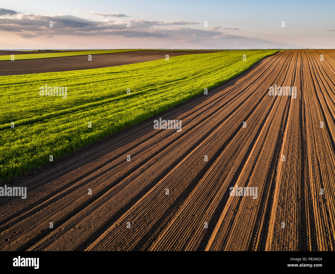 Agricultural landscape, arable crop field. Arable land is the land ...