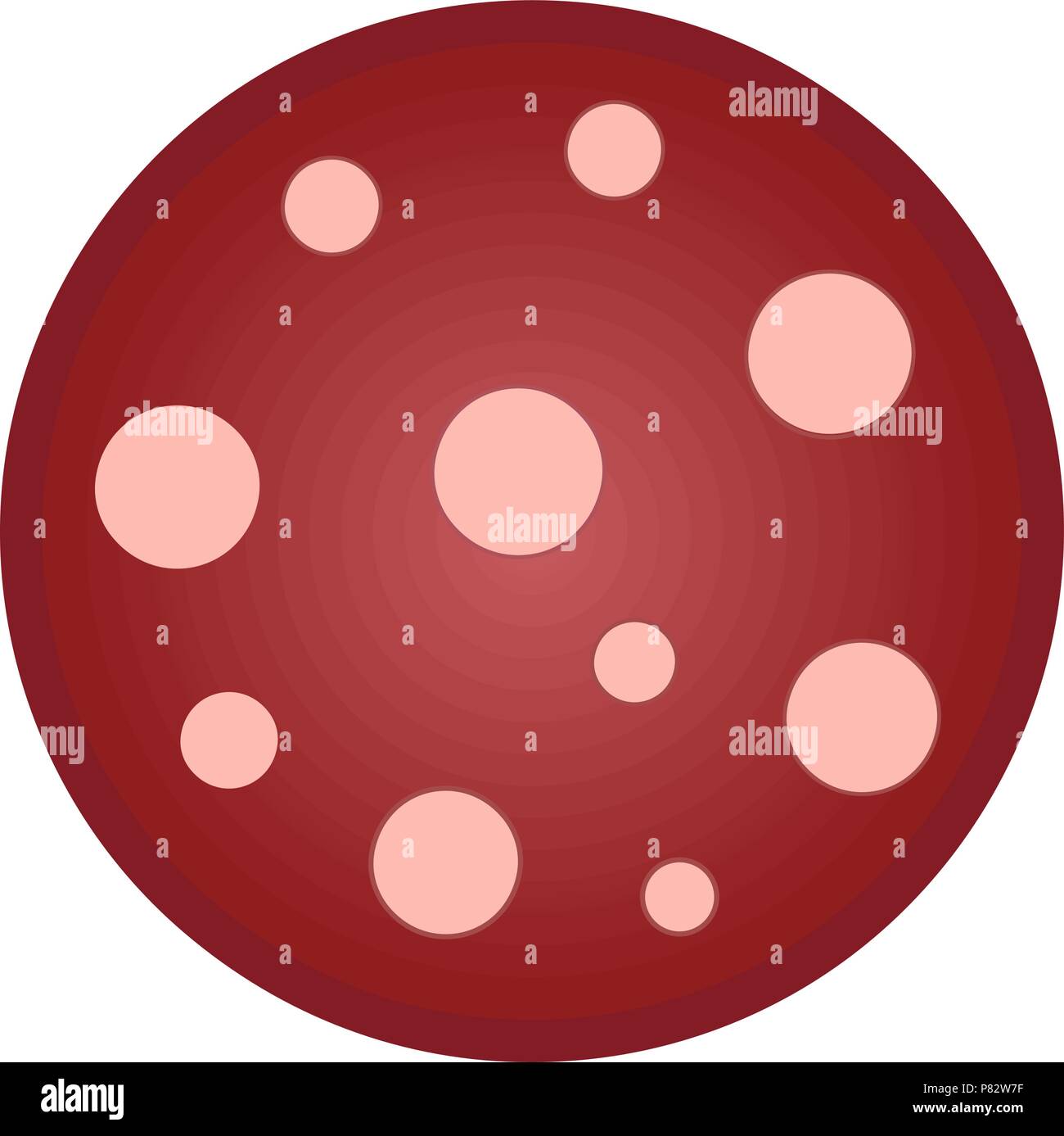 Salami smoked sausage slice. Top view macro detail salami sausage slice texture. Vector ...