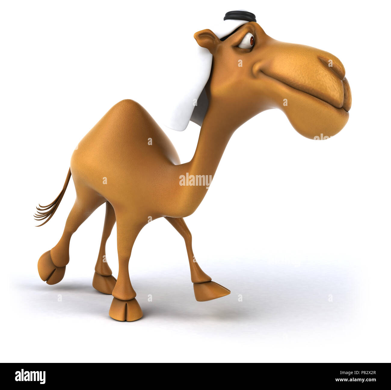 Camel safari india Cut Out Stock Images & Pictures - Alamy