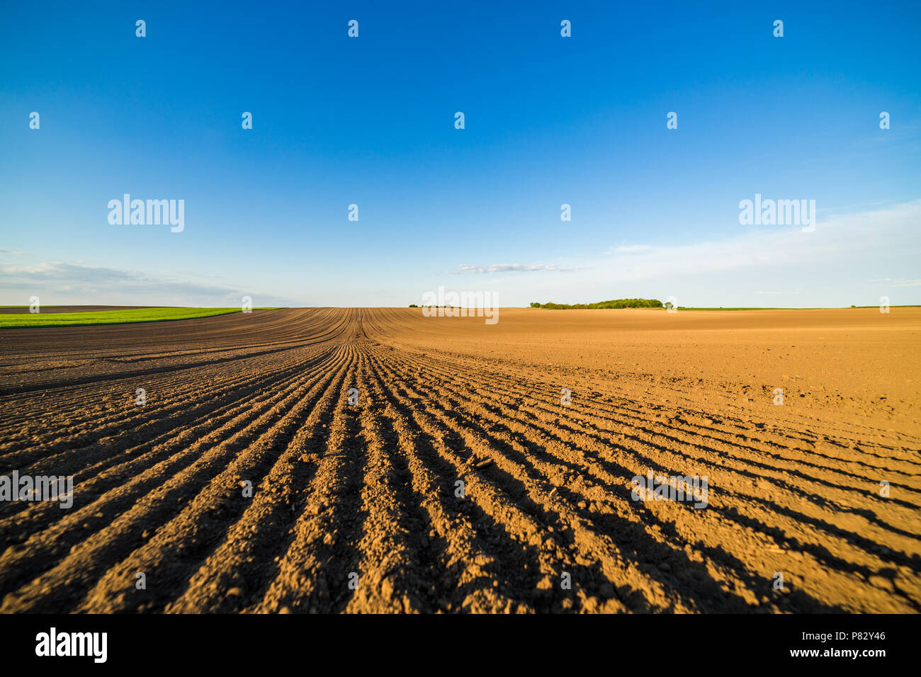 Agricultural landscape, arable crop field. Arable land is the land ...