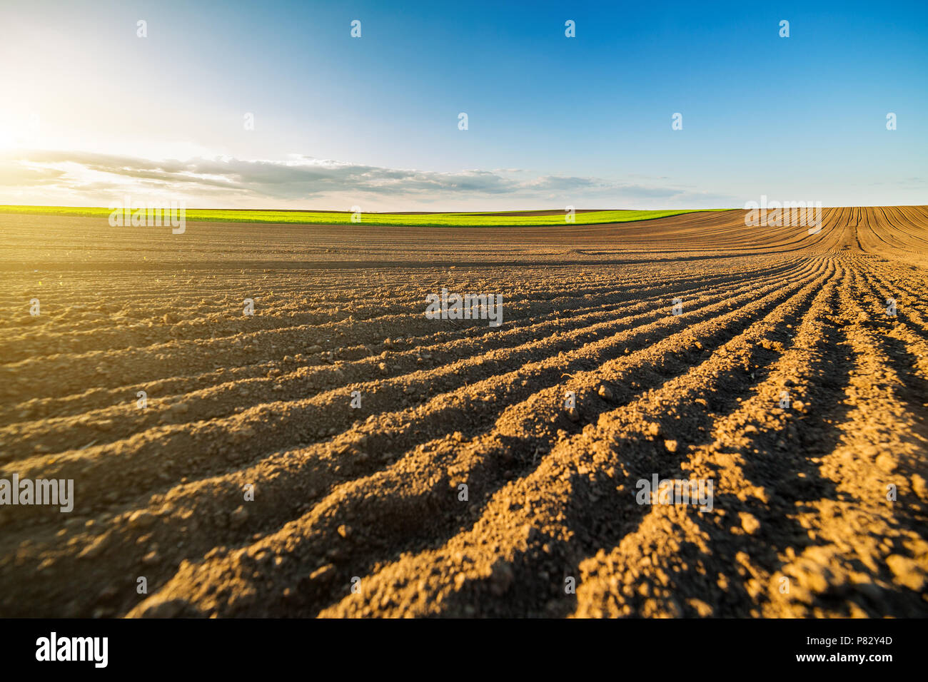 Agricultural landscape, arable crop field. Arable land is the land ...